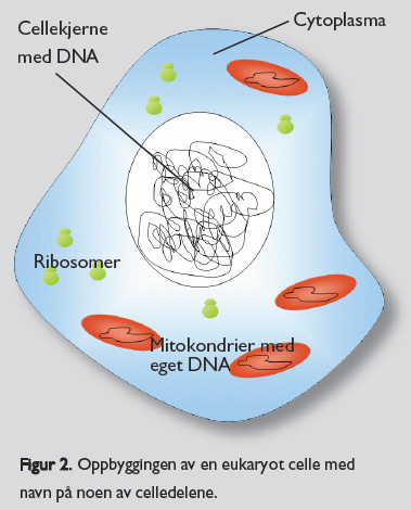 Arv og genetikk - Bioteknologirådet