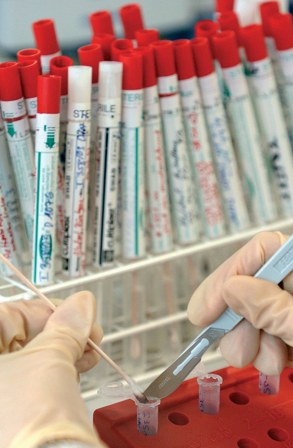 DNA-analyser i etterforskning og rettsvesen - Bioteknologirådet