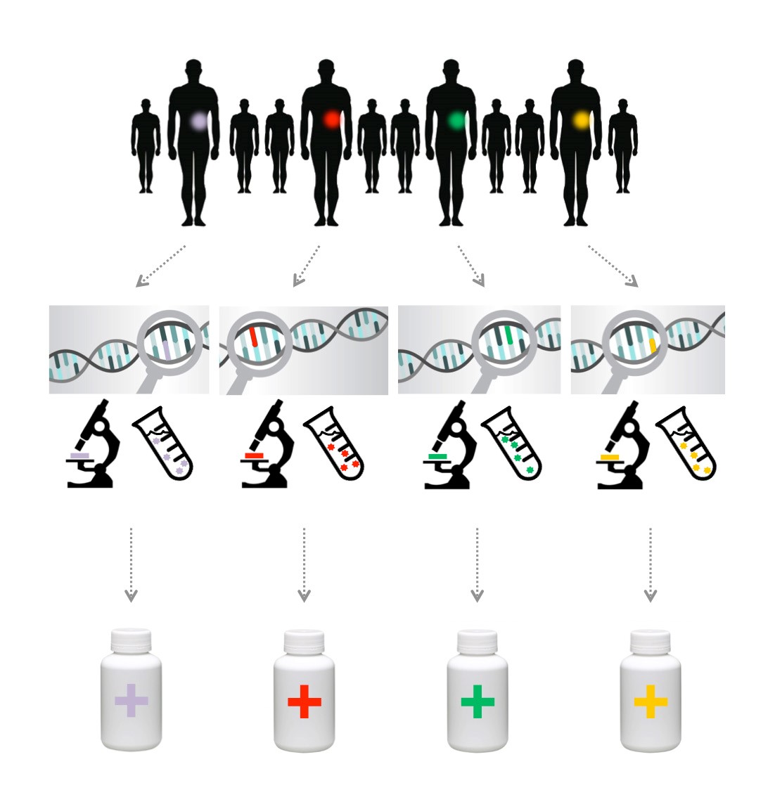 Persontilpassa medisin - Bioteknologirådet