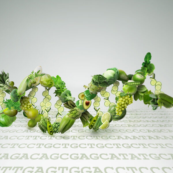 Hjem - Bioteknologirådet